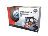 EASTCOLIGHT Anatomija oka set 24253 cena karakteristike komentari - BCGroup