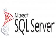 MICROSOFT SQL Server 2019 Standard 228-11477 cena karakteristike ...